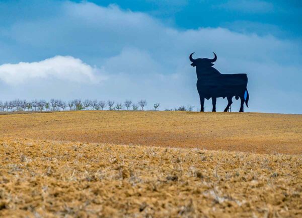 Osborne Stier, wo steht er und warum? Die Standorte mit Karte...