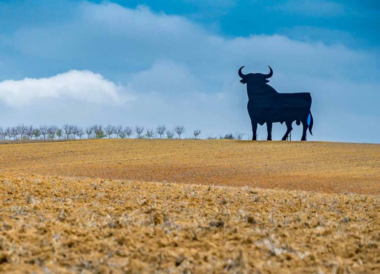 Osborne Stier, wo steht er und warum? Die Standorte mit Karte...