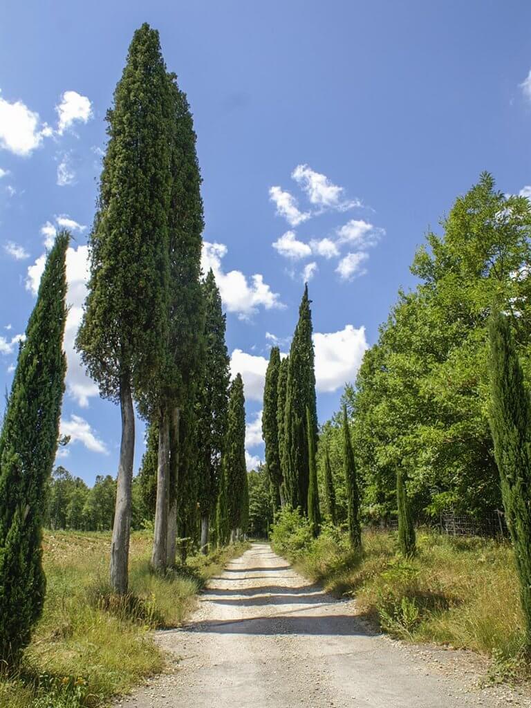 Parken in Italien (2025): wie es geht und worauf ihr achten solltet