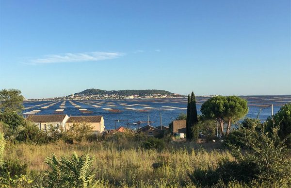 Mèze, entspanntes Fischerdorf am Etang du Thau, Tipps