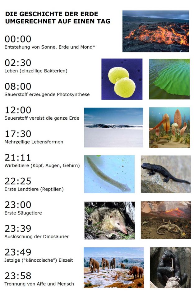 Die Geschichte der Menschheit in einem Tag zusammengefasst