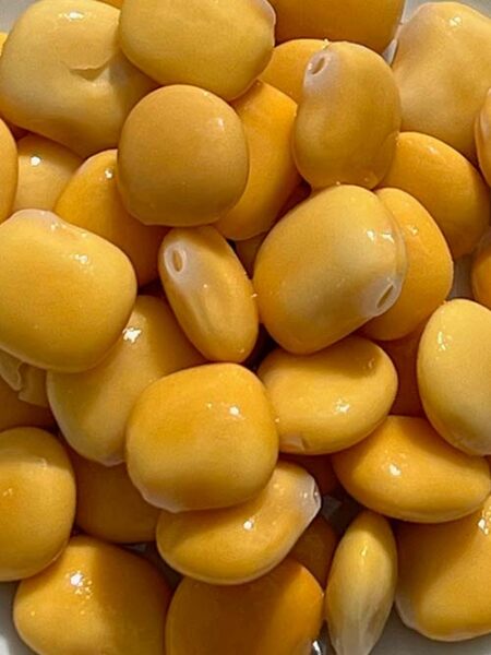 Lupinen, köstlicher Snack zum Aperó mit viel Eiweiß, supergesund!