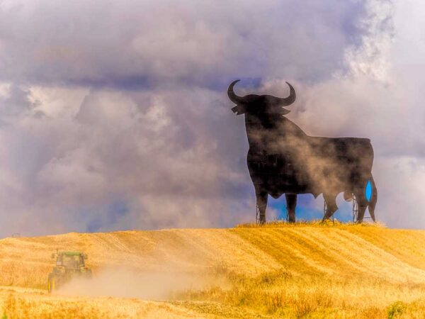 Osborne Stier, wo steht er und warum? Die Standorte mit Karte...